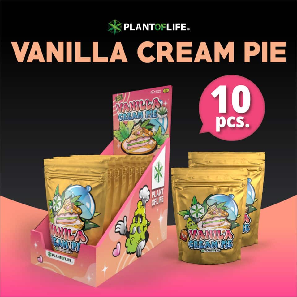 Cannabis Trim Vanilla Cream Pie Genetic | Wholesale-plantoflife-thailand
