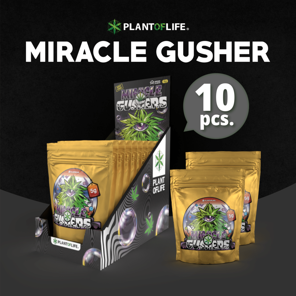 Cannabis Trim Miracle Gushers Genetic | Wholesale-plantoflife-thailand